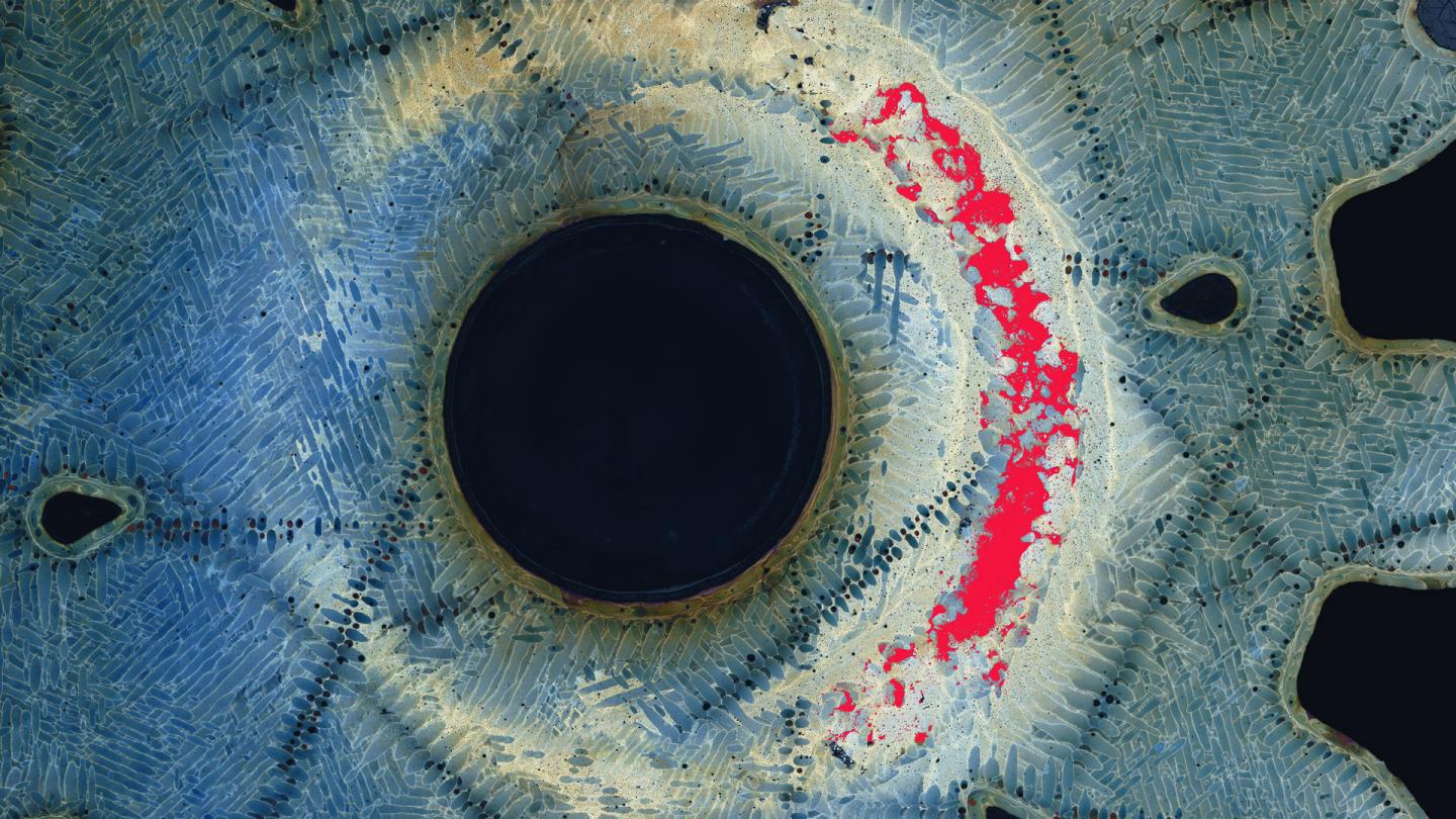 蔡司Sigma场发射扫描电子显微镜_场发射扫描电镜原理_场发射扫描电镜的应用|蔡司ZEISS