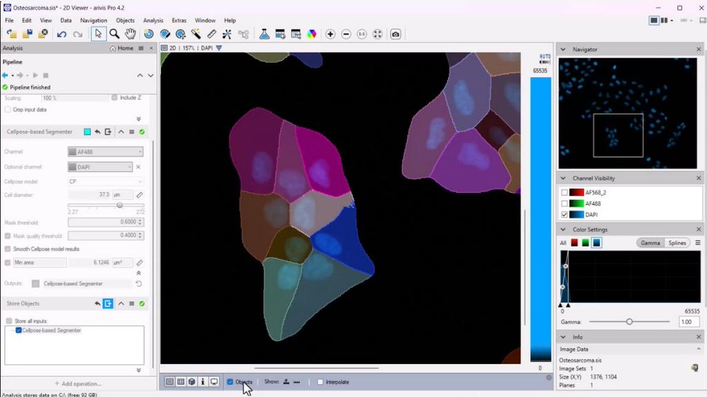 蔡司arivis Pro软件
