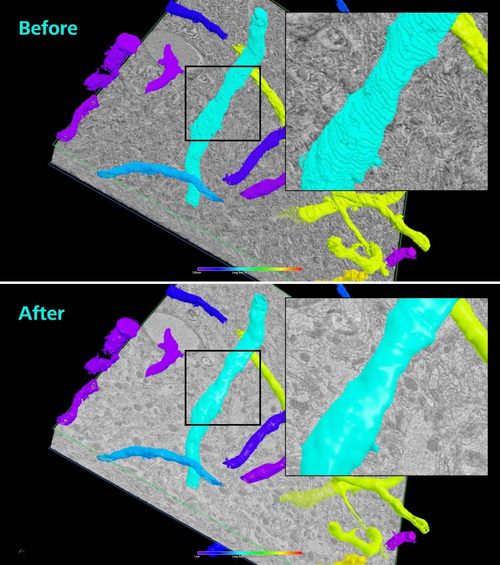 蔡司arivis Pro软件